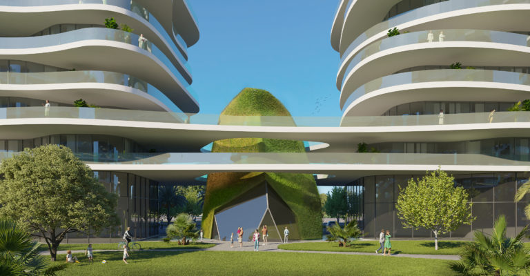 Reef Development - MSCEB