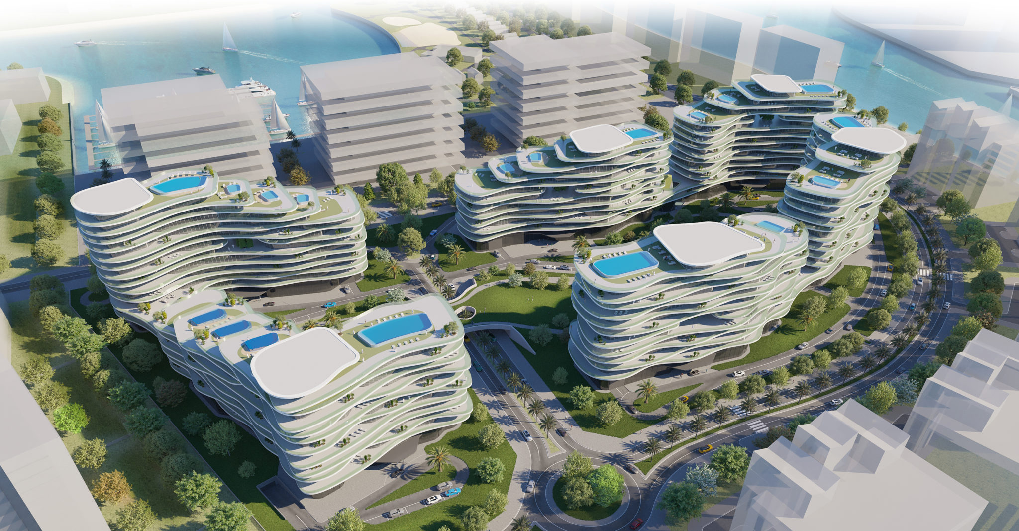 Reef Development - MSCEB