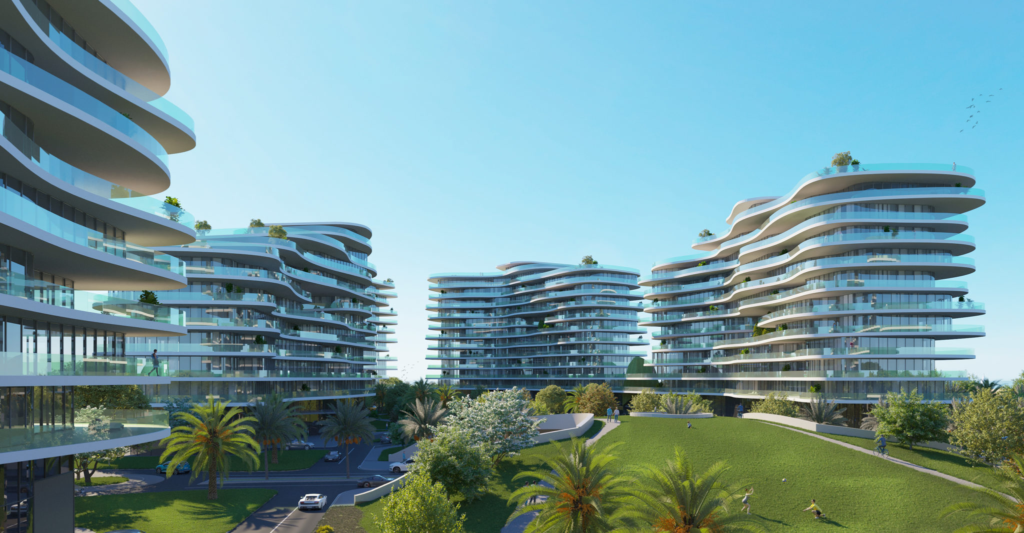 Reef Development - MSCEB